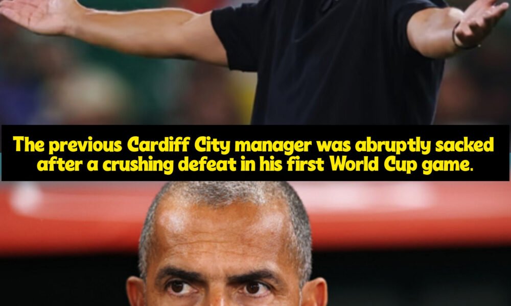 Former Cardiff City manager was harshly dismissed just one game into ...